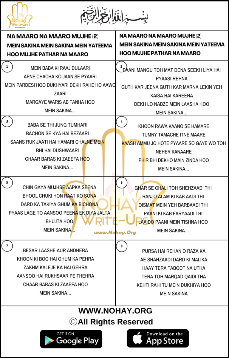 Na Maro Na Maro Main Sakina S.A Main Yateema | Raza Abbas Zaidi - Nohay ...